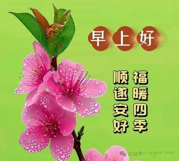 带日历的微信问候图片图标