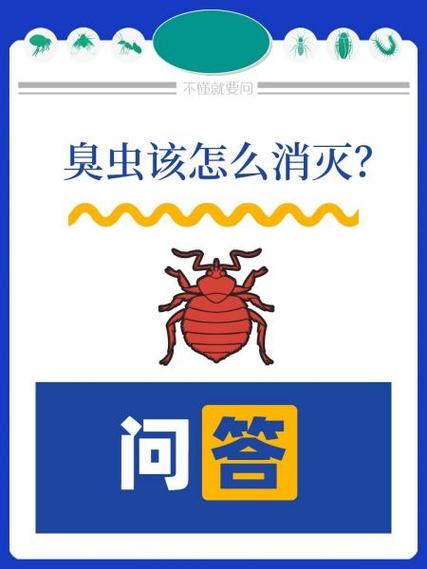如何快速去除臭虫图标