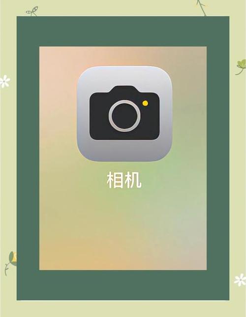 苹果相机调色参数在哪里图标
