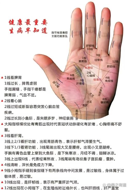 手掌心有旋要警惕四种病图标