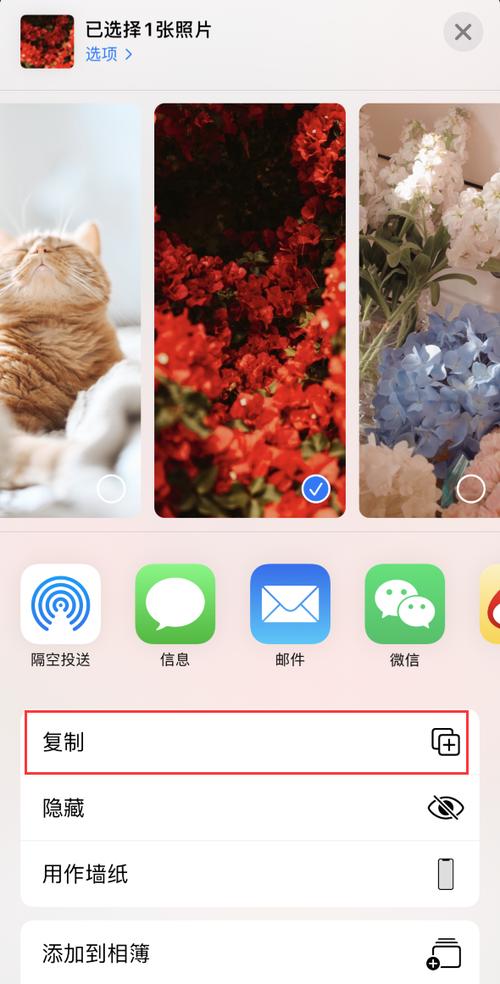 iphone照片修改后保留原图