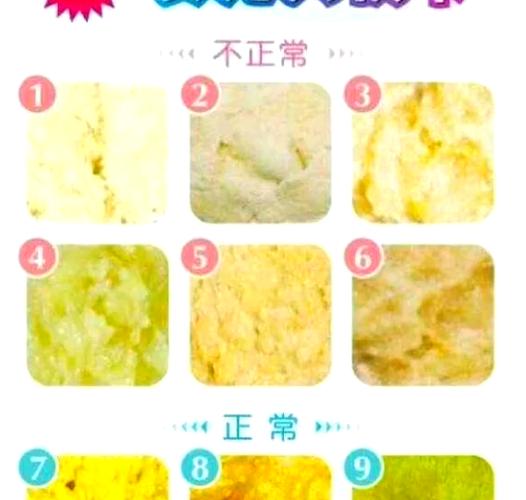 适度水解奶粉是什么意思