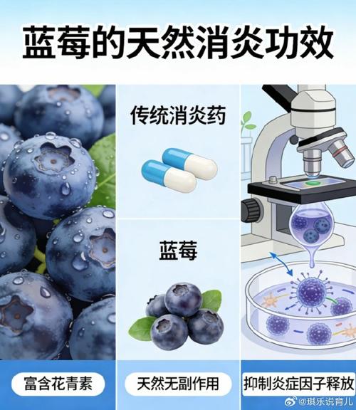 蓝莓有消炎作用吗截图