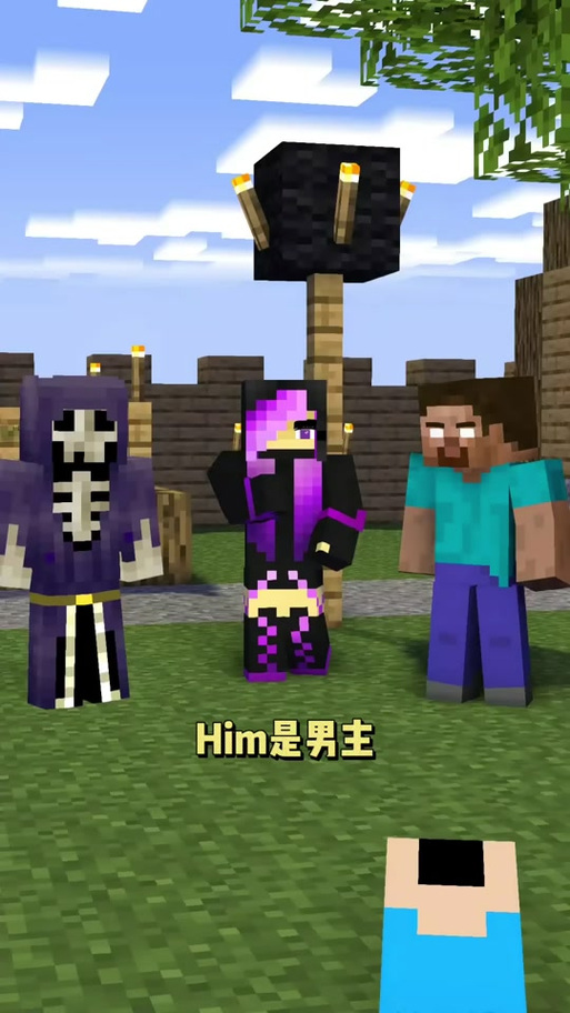 末影女王him图标