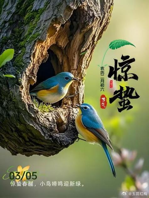24节气惊蛰的由来图标