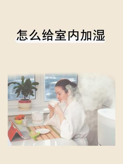 房间里面潮湿用什么方法好图标