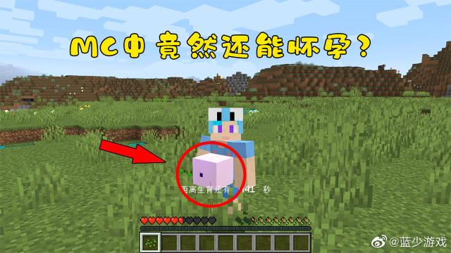 我的世界子母河模组下载图标