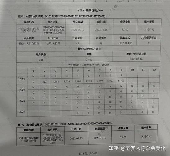 美团月付的逾期还款影响图标