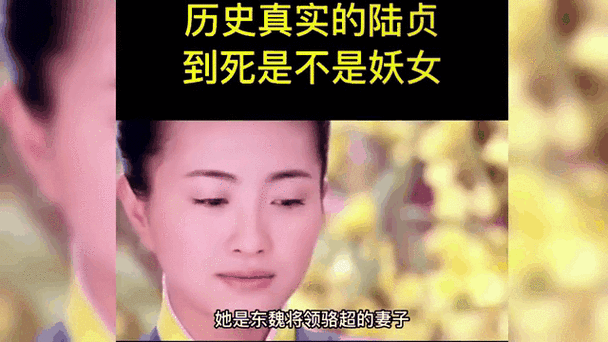 陆贞的历史原型图标