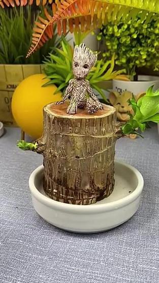 幸运木发芽的寓意图标