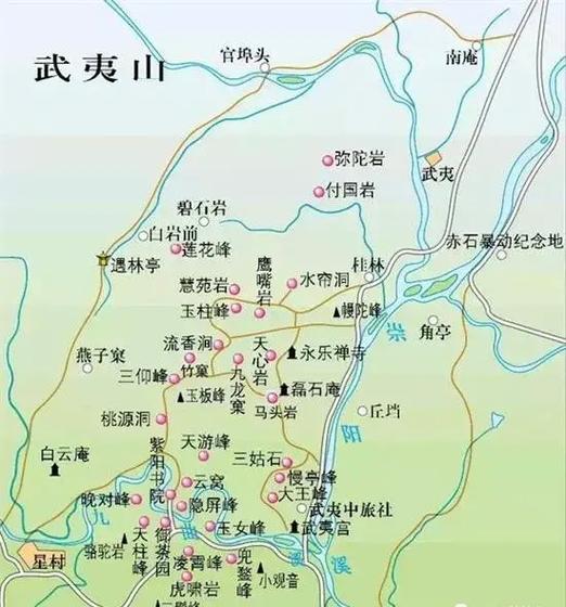 武夷岩茶简介图标