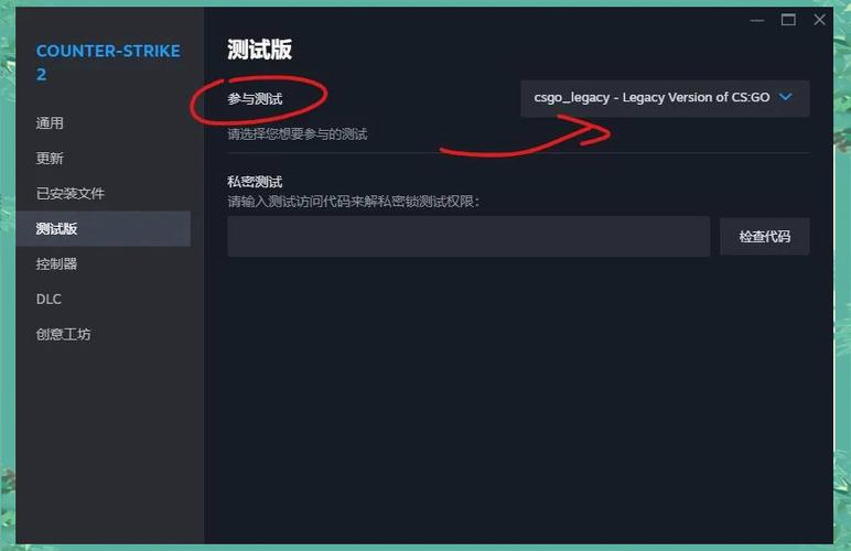 玩csgo的解决办法截图