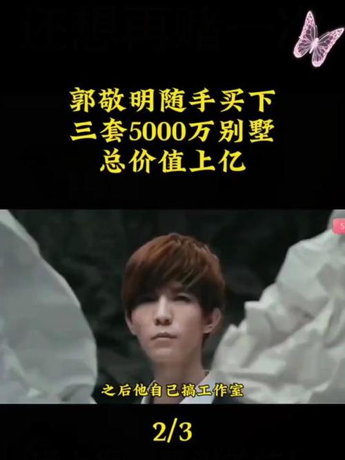 郭敬明资产一共多少亿图标