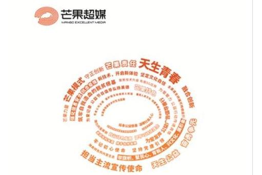 芒果公司简介