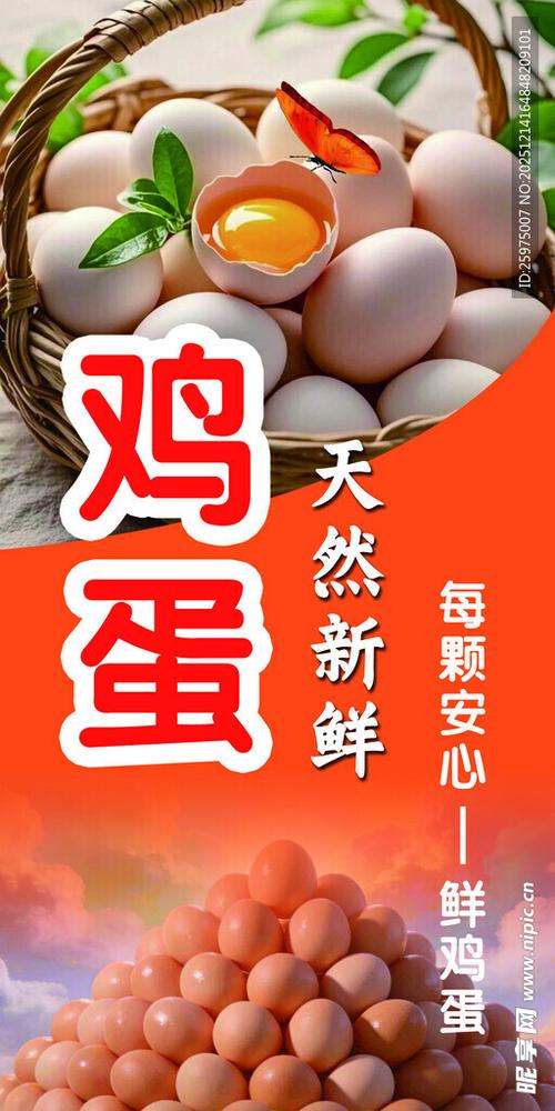 共享鸡蛋图标