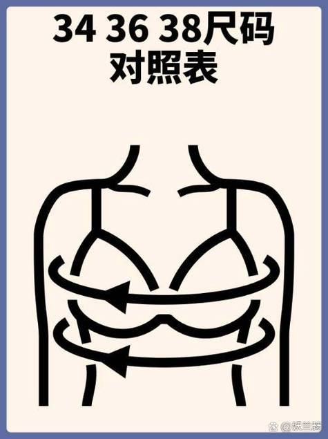文胸36-80b乳房算大吗