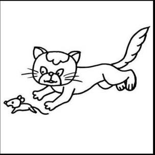 猫最厉害三个本领截图