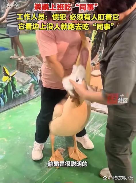 有没有饥不择食的女人图标