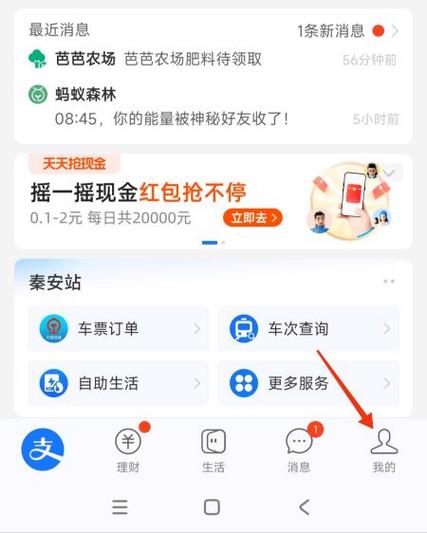 余额宝怎么显示一年明细图标