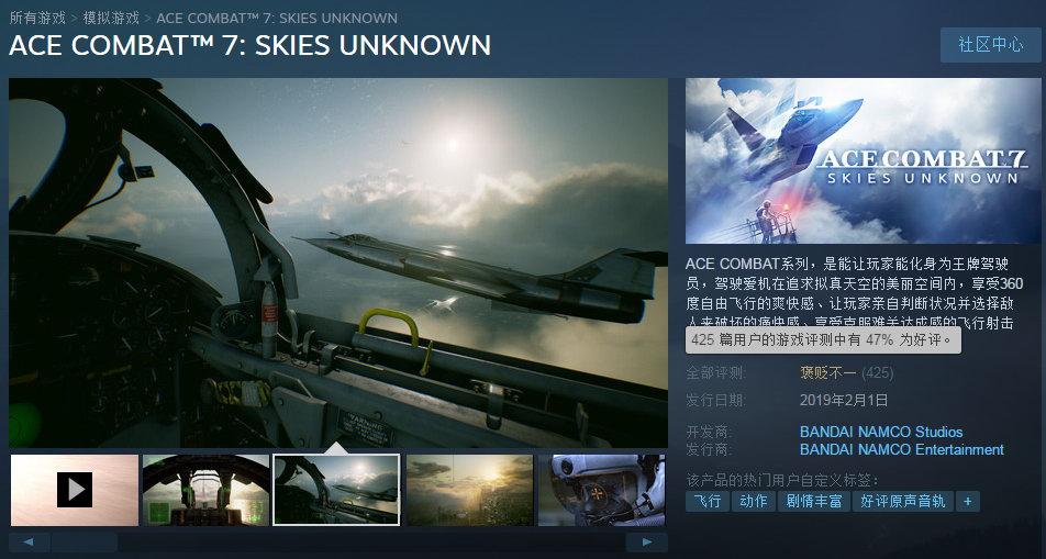 皇牌空战7steam两个版本区别图标