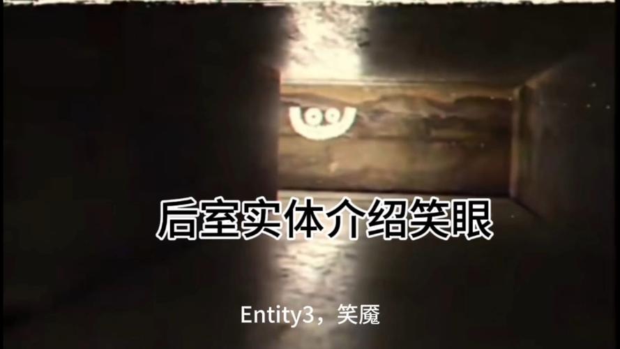 后室100个实体图标