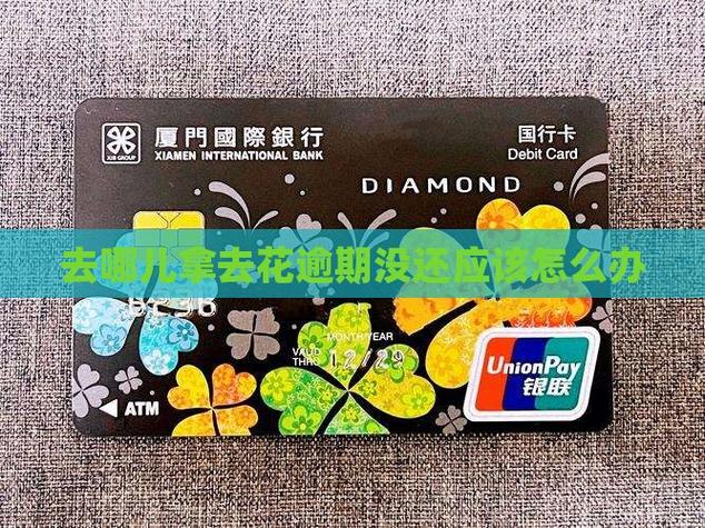 去哪儿拿去花怎么还款图标