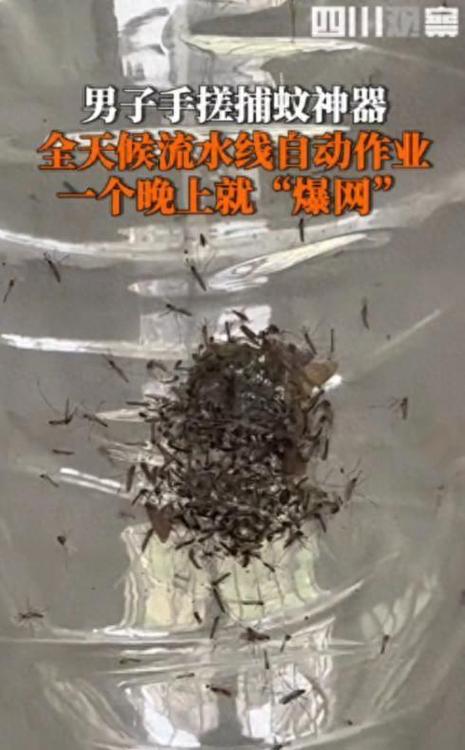 蚊子在耳边嗡嗡图标