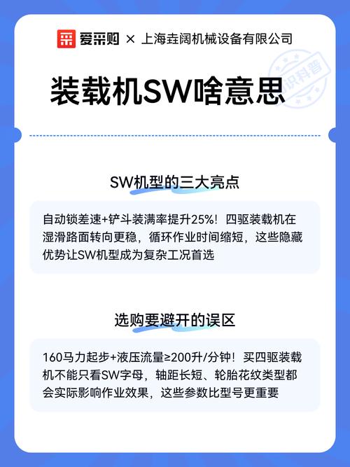 SW的中文意思图标