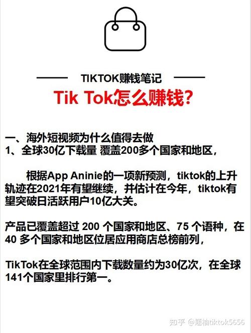 怎么在tiktok上赚钱截图
