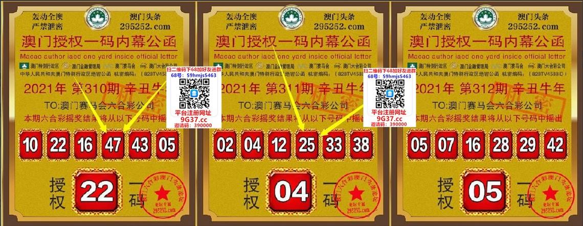 今天出的澳门码是什么图标