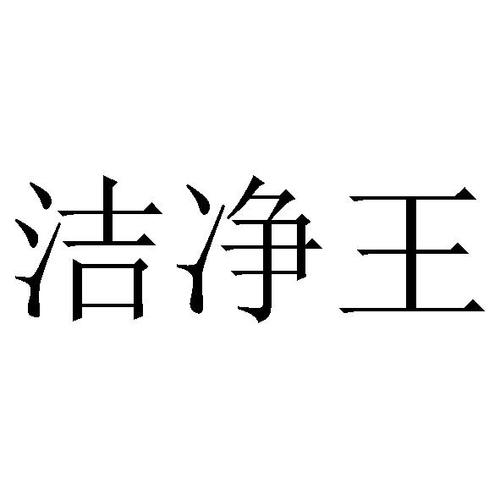 目前去污最强的洗衣粉图标