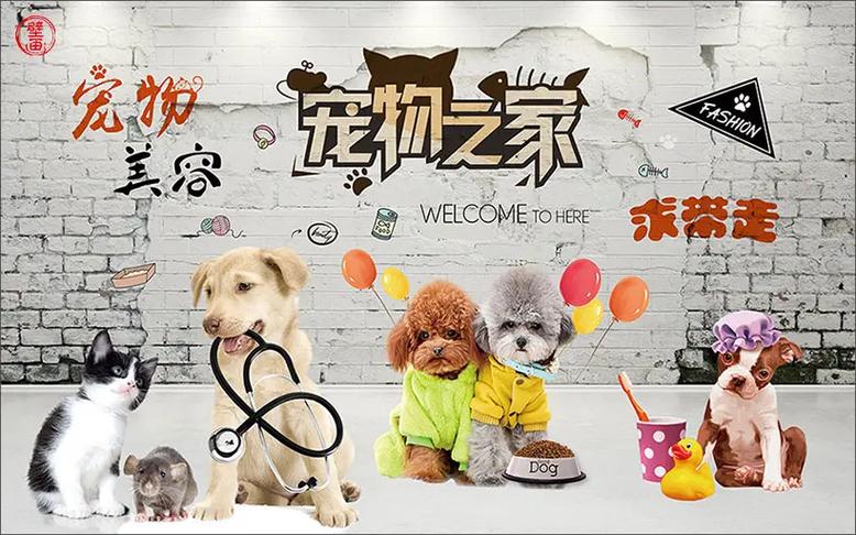 萌宠联盟宠物店怎么样截图