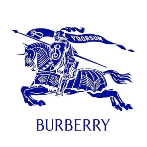 burberry官方网图标