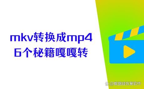 如何下载mkv格式视频图标