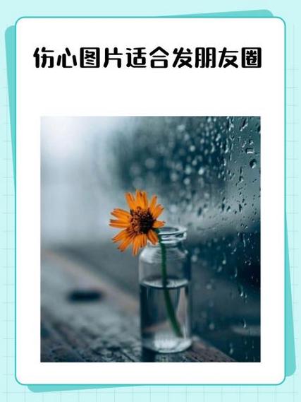图片一发朋友圈就变模糊图标
