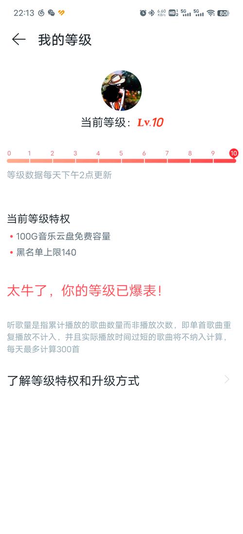 网易云等级刷歌网站图标