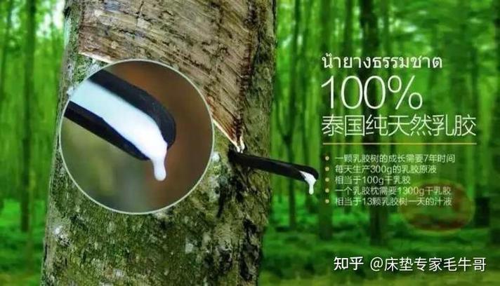 乳胶原液和天然乳胶的区别缩略图