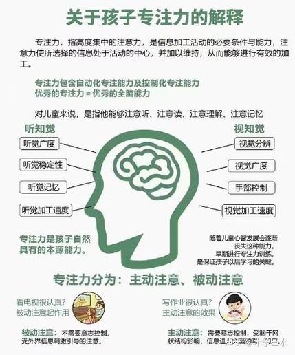 注意力和专注力的区别图标