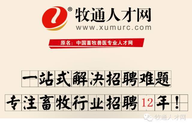 牧通网人才招聘网图标