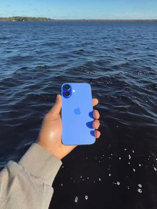 苹果浅蓝色手机有哪些图标