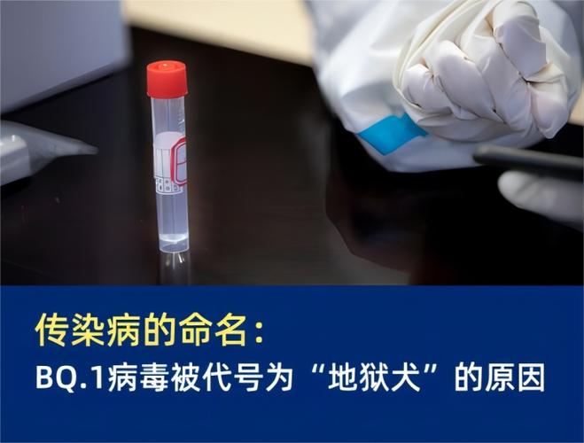 地狱犬病毒可以自愈吗图标
