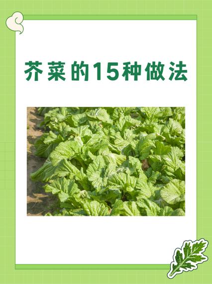 芥菜是什么菜图标
