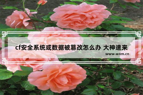 cf文件损坏或丢失图标