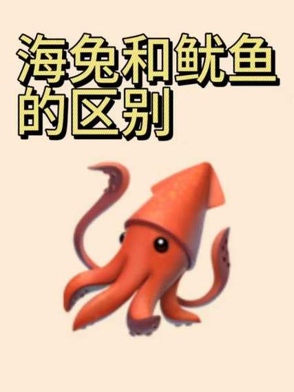 海兔和鱿鱼哪个贵