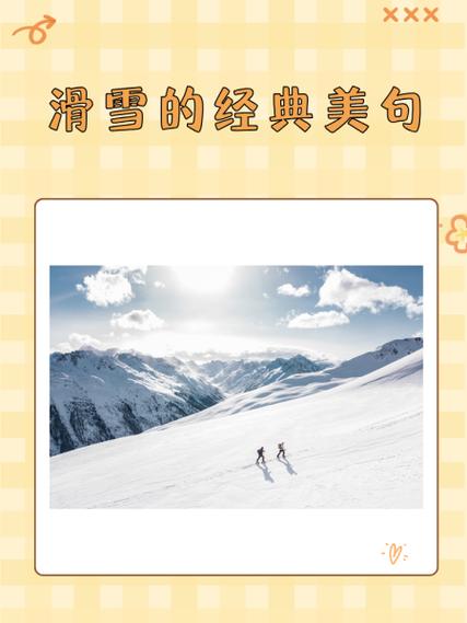 滑雪的经典美句截图