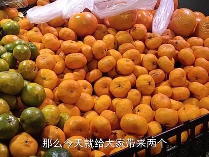 桔子如何保存长久不烂截图