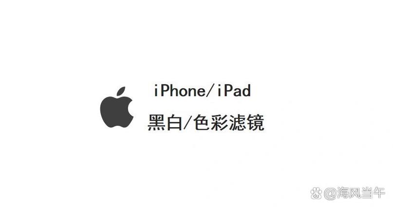 苹果ipad变成黑白的了图标