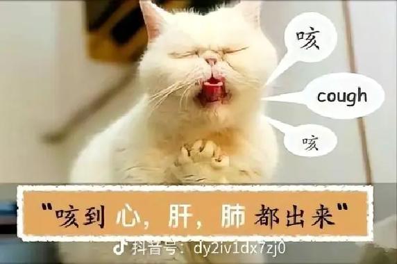 咳到怀疑人生表情图