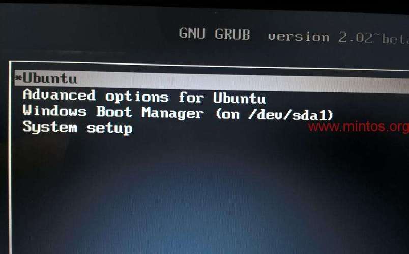 grub2win 教程
