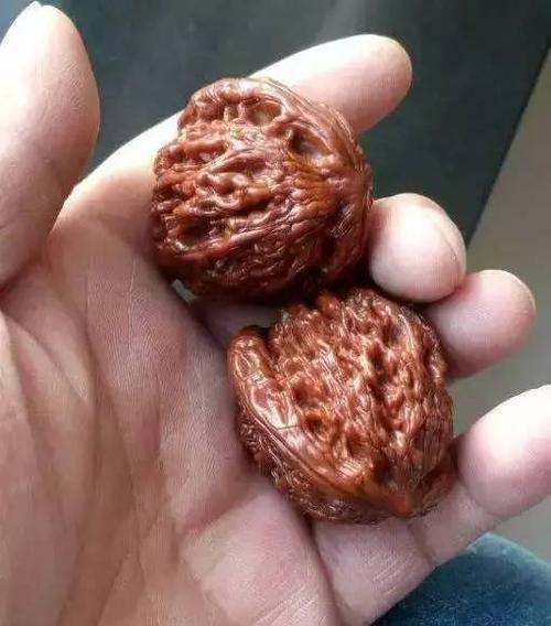 干刷一年的核桃效果图图标